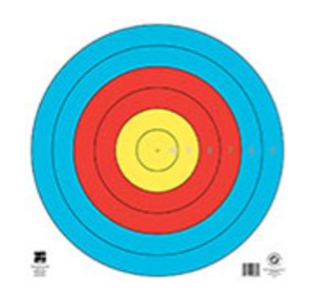 Single Spot 6 ring 80cm paper target (50 metre) – Evolve Archery Canada